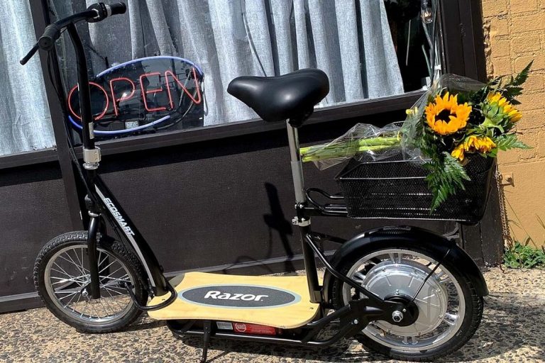 Top 10 Best Electric Scooters with Seats — Review